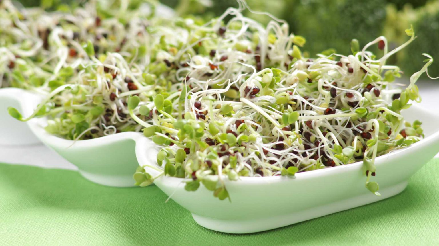 Sprouts: Boost Immunity, Strengthen Bones, And Improve Mental Clarity ...