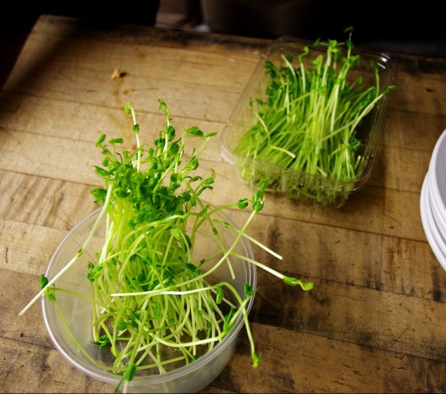 Growing Sprouts - Spring is in the air! - Muneeza Ahmed