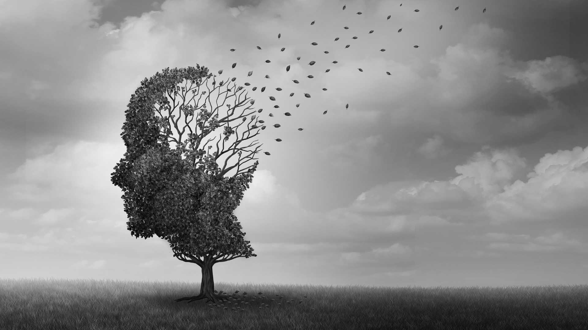 what-is-aphasia-the-true-root-cause