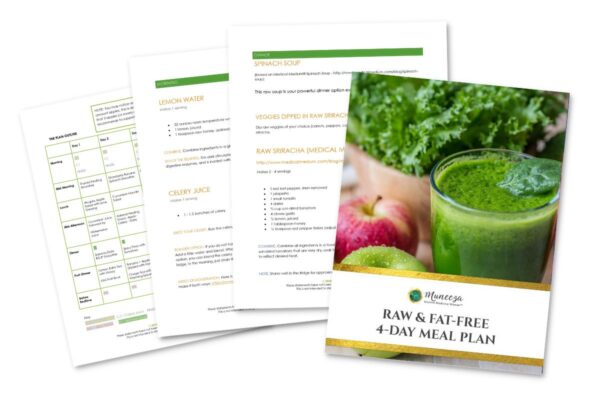 4-Day Raw And Fat-Free Meal Plan