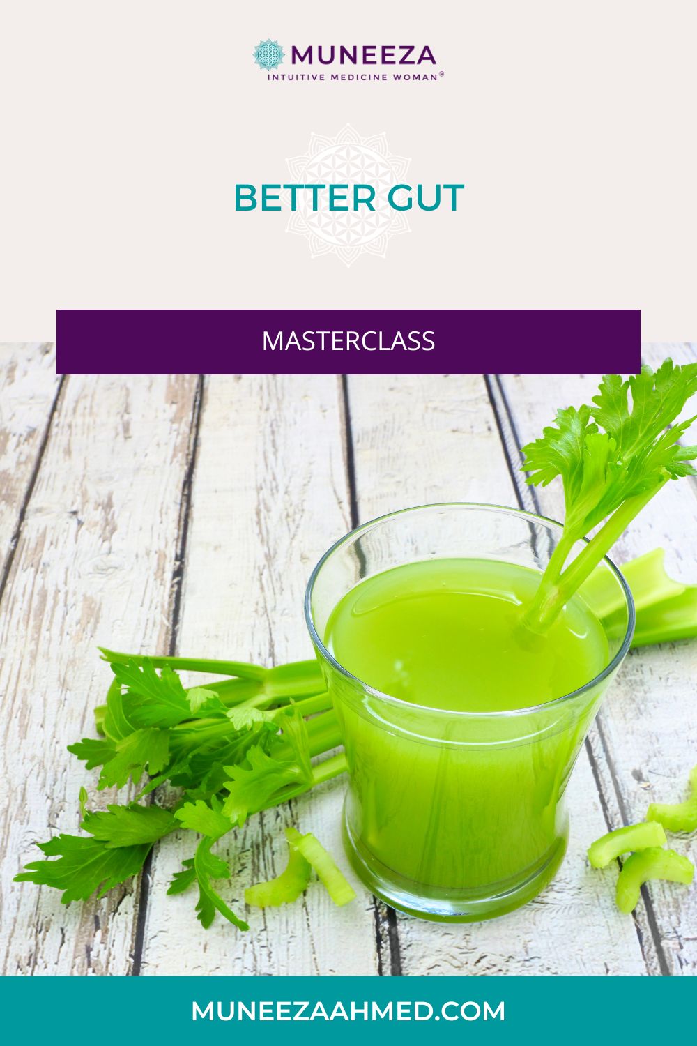 Better Gut Masterclass