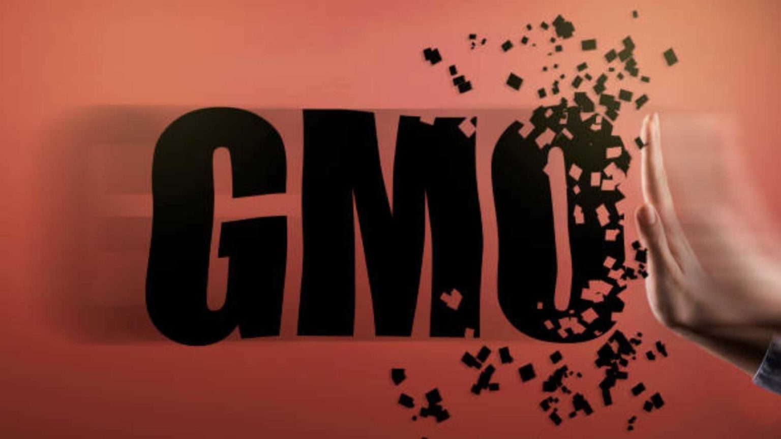 How To Avoid Hidden Sources Of Corn & GMOs | Muneeza Ahmed