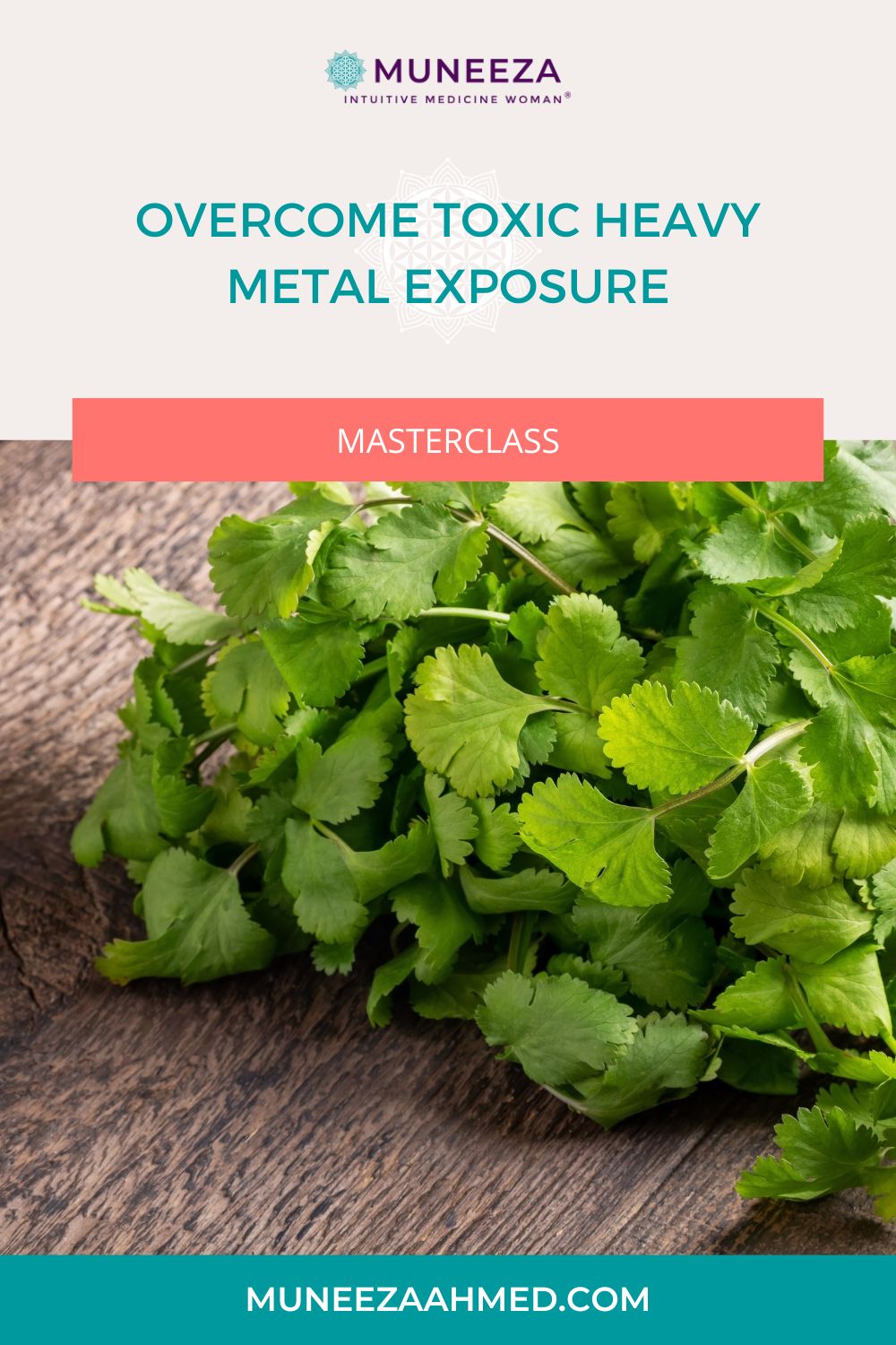 Overcome Toxic Heavy Metal Exposure