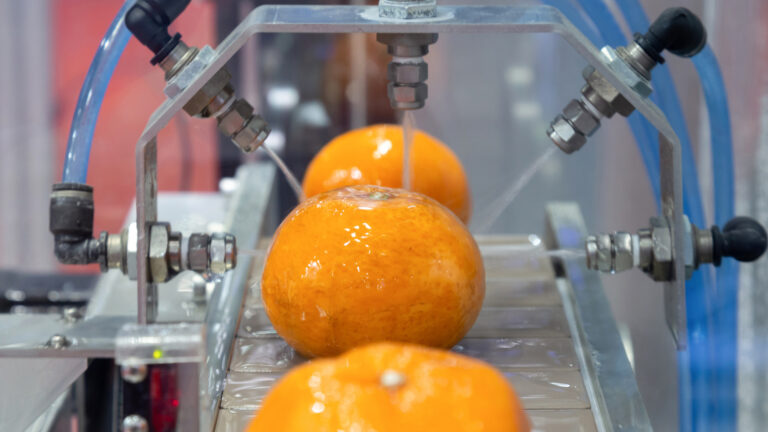 Toxic Foods Alert: Apeel Coating Technology | Muneeza Ahmed