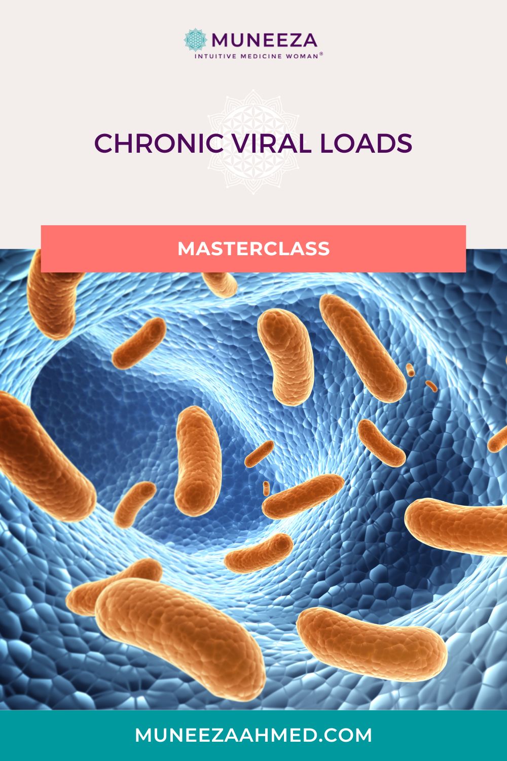 Chronic Viral Loads Masterclass