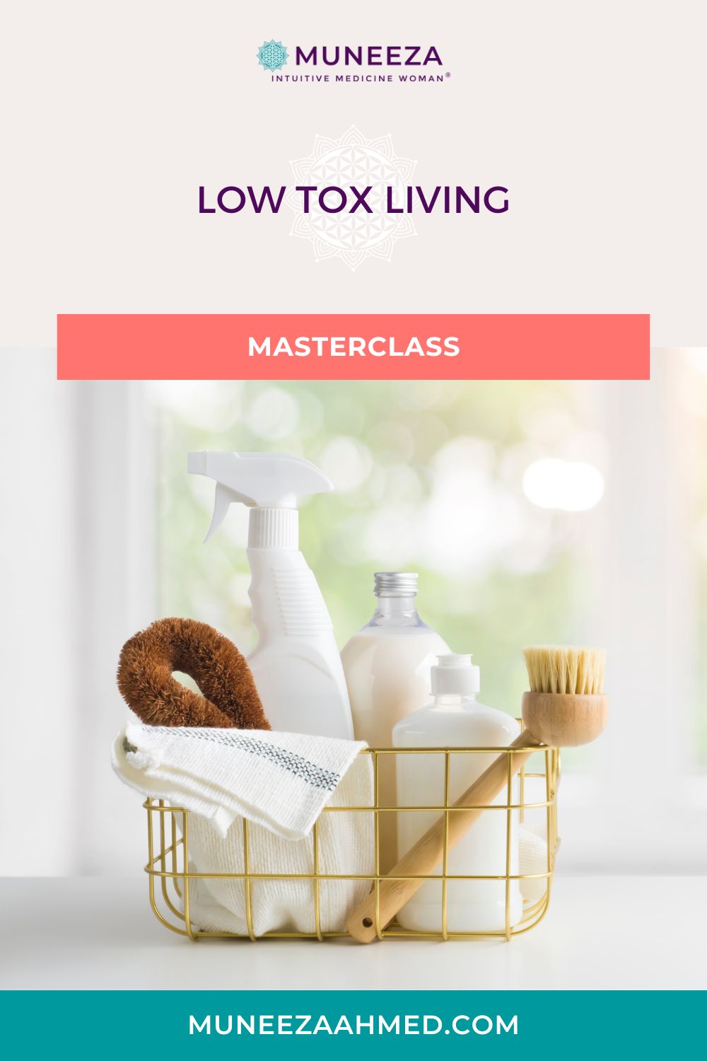 Low Tox Living Masterclass